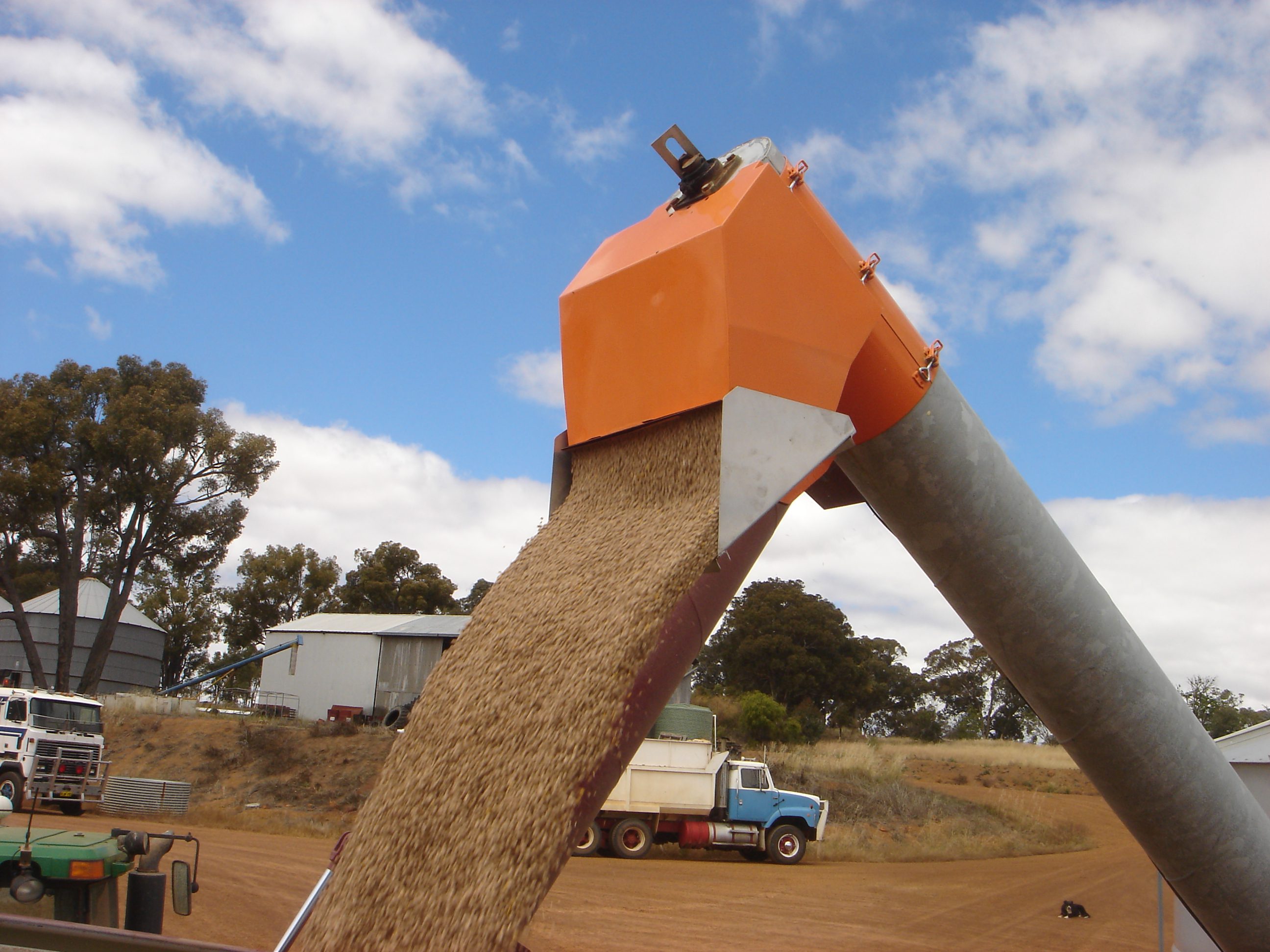 Auger Continuous Flow Weighers | Grain Storage | Griffith Elder